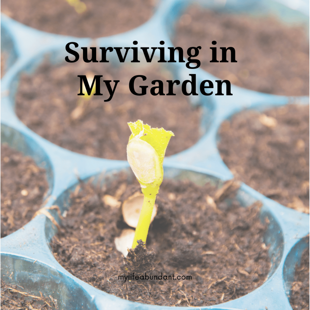 Garden Layout Ideas For Every Size Space My Life Abundant