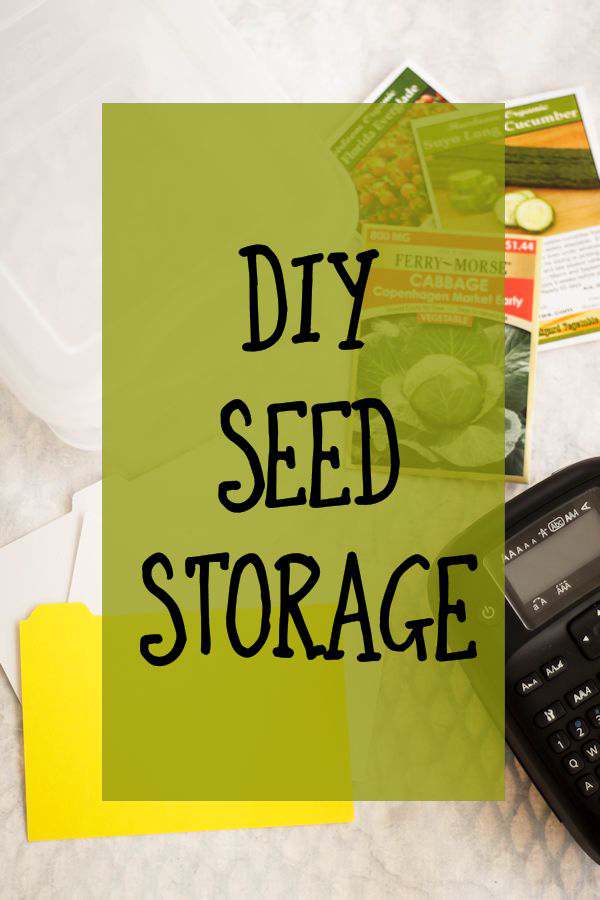 DIY Seed Container | My Life Abundant