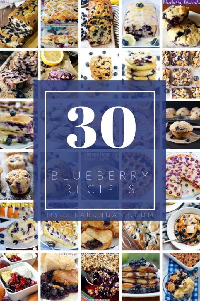 Blueberry Recipes - My Life Abundant