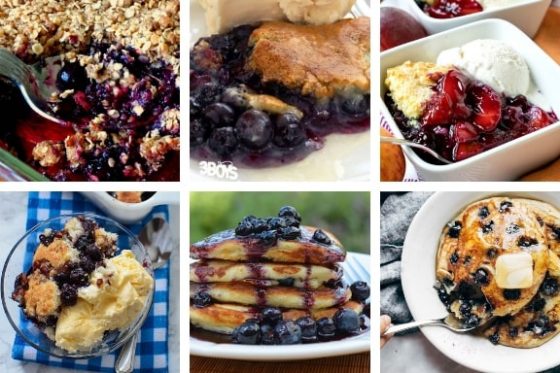 Blueberry Recipes - My Life Abundant