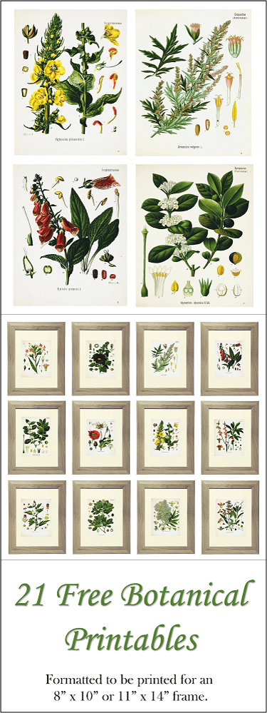 Spring Vintage Printables - My Life Abundant