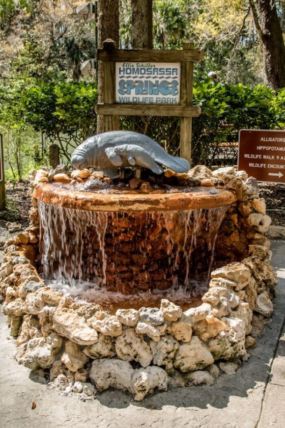 The Beauty of Homosassa Springs - My Life Abundant