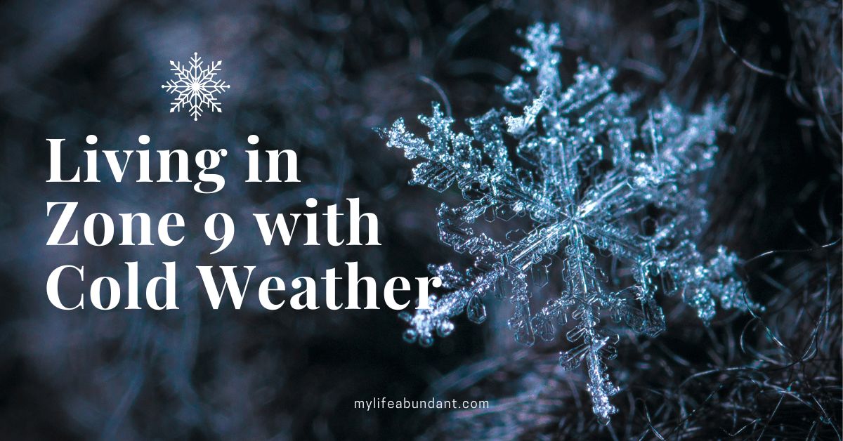 Living in Zone 9 with the Cold Weather - My Life Abundant