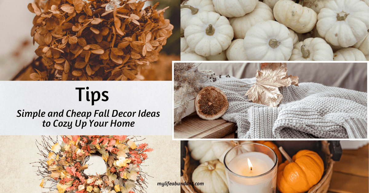 Simple and Cheap Fall Decor Ideas to Cozy Up Your Home - My Life Abundant