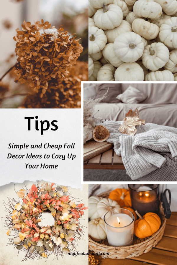 Simple and Cheap Fall Decor Ideas to Cozy Up Your Home - My Life Abundant