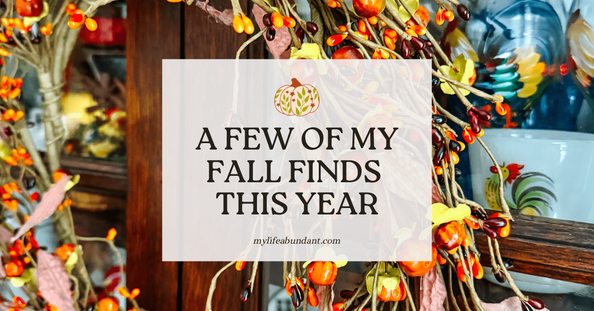 A Few of My Fall Finds This Year - My Life Abundant